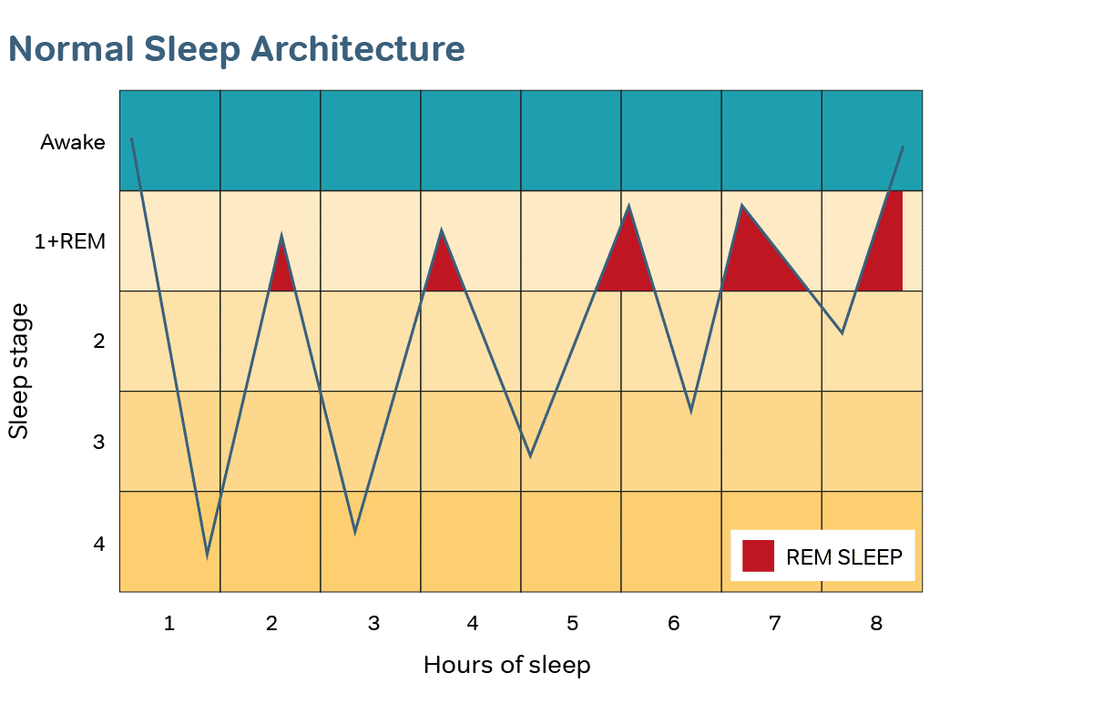 Sleeping Position & Stage of Sleep | BSSAA